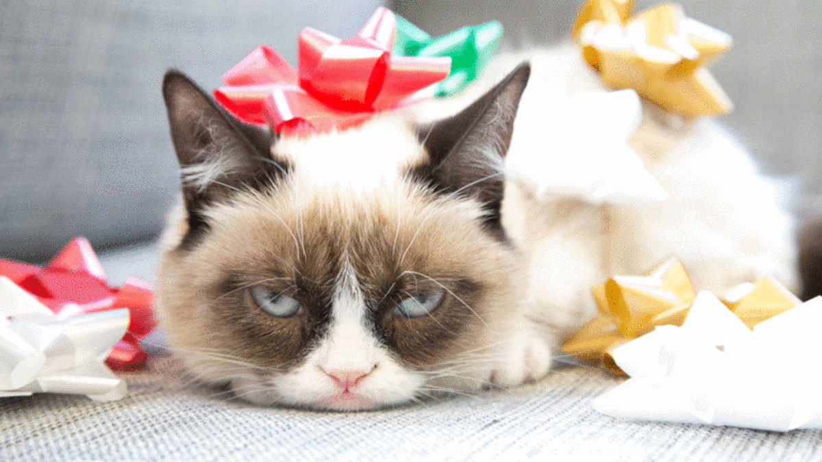 Top 10 Memes of 2013 - and What We Can Learn From Them - Say Daily