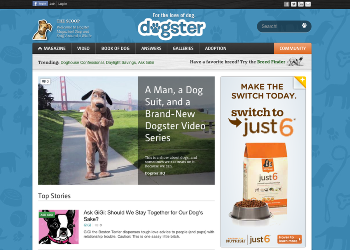 Introducing the Newly Redesigned Dogster & Catster - Say Daily